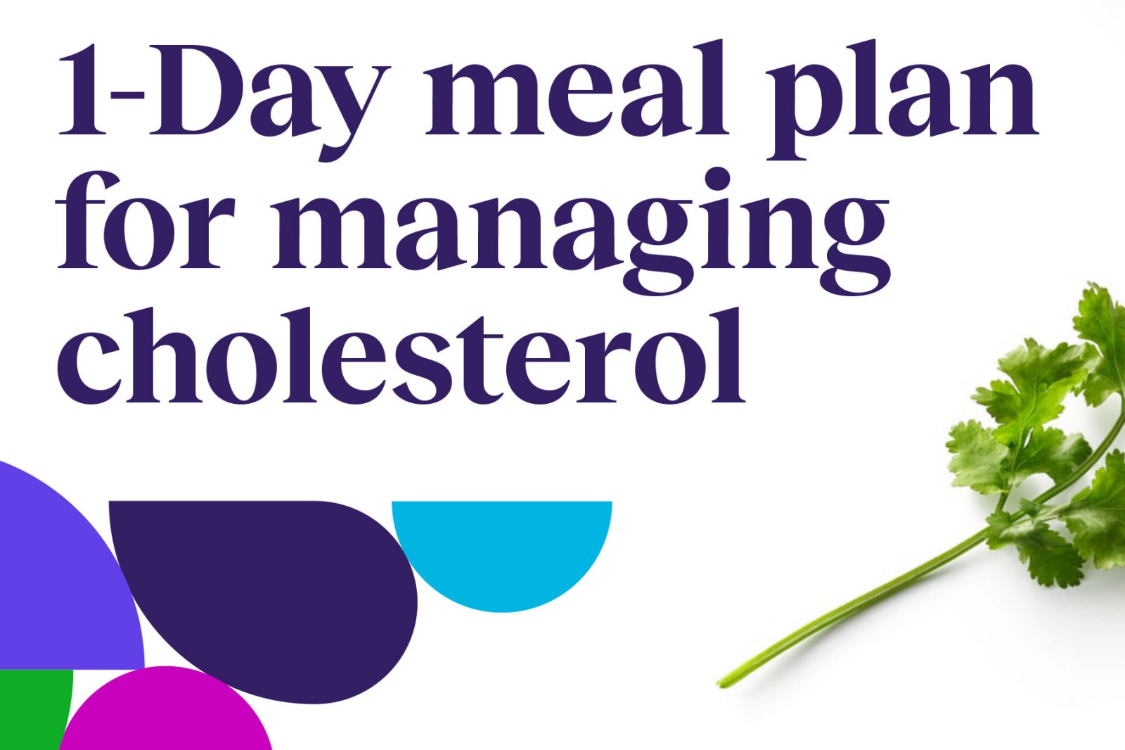 1-day meal plan for managing cholesterol