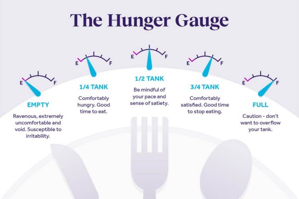 The hunger gauge